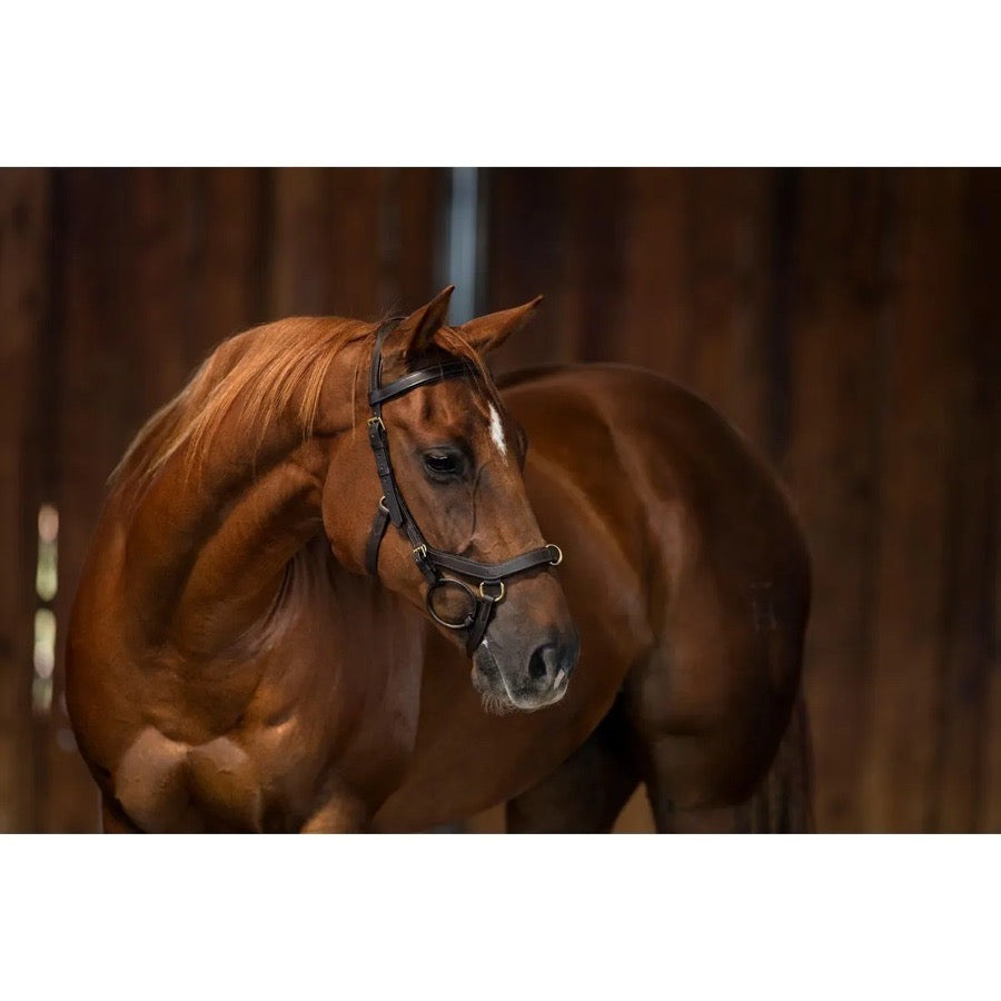 Used RAMBO MICKLEM Rambo Micklem Original MultiBridle - Brown Bridle